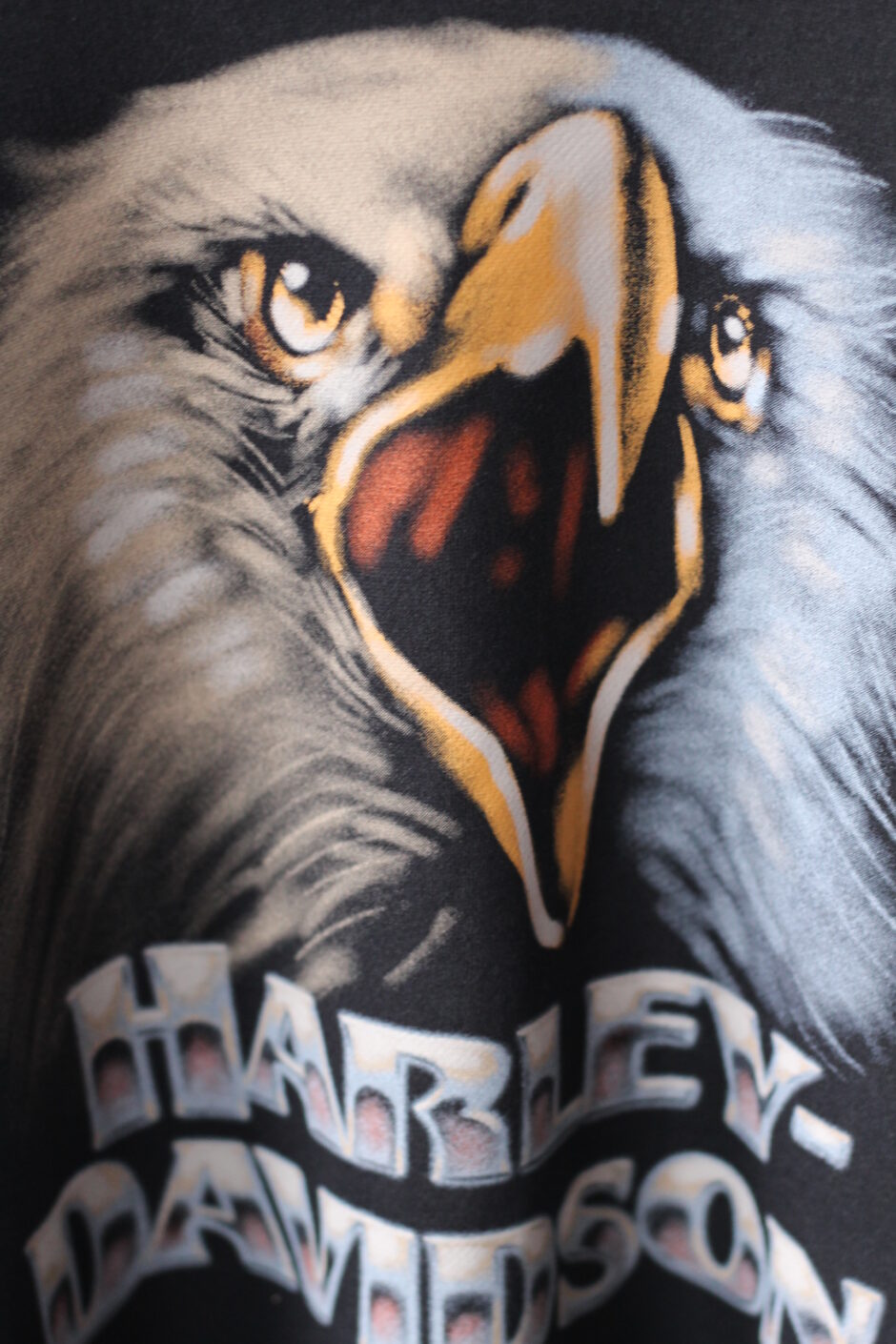 ぞくぞくと - Harley-Davidson® 成田